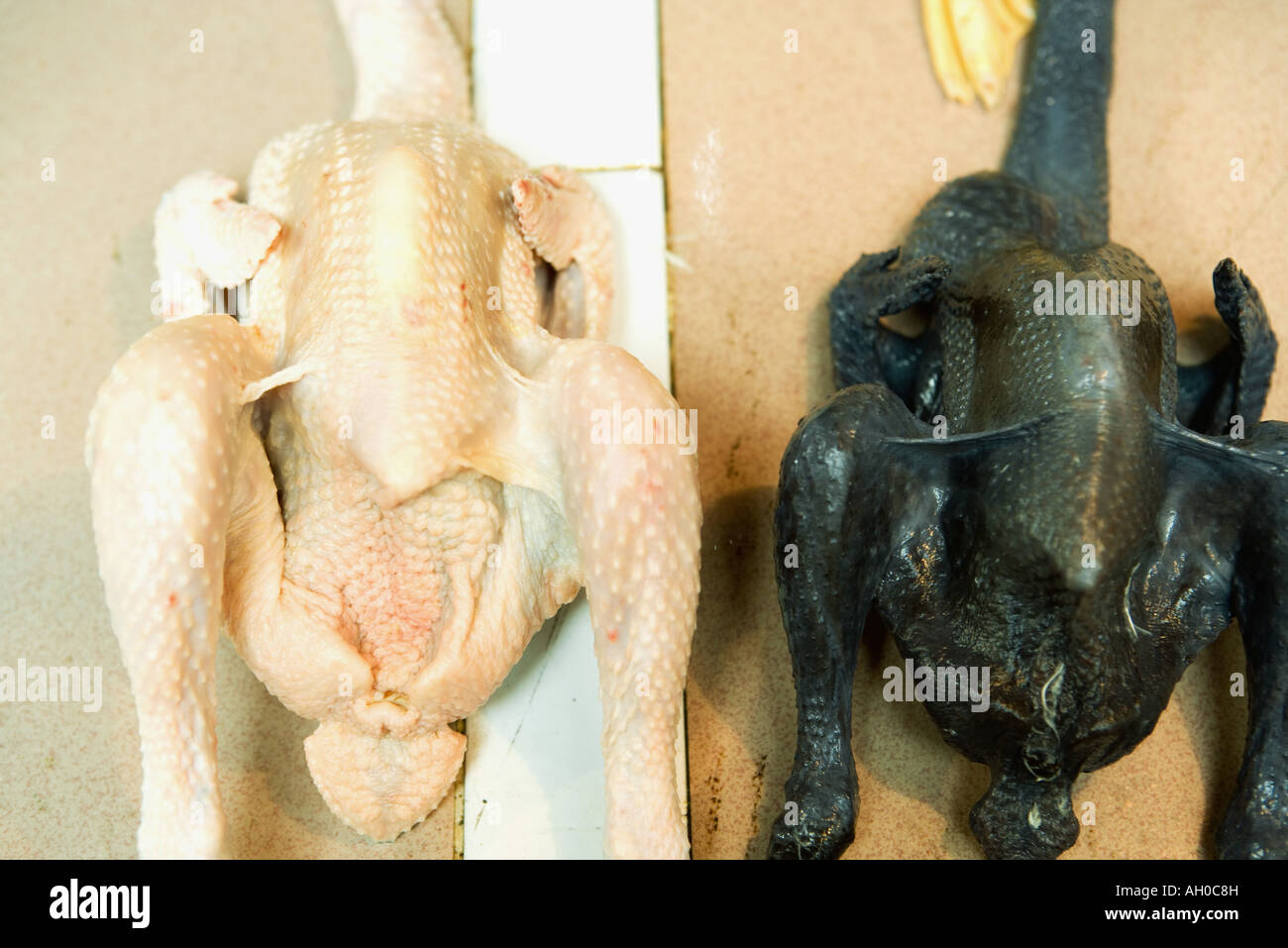 Black skinned chicken hi-res stock photography and images - Alamy