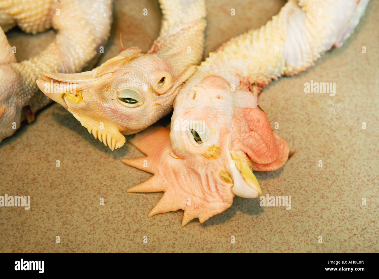 Butcher chicken anatomy hi-res stock photography and images - Alamy