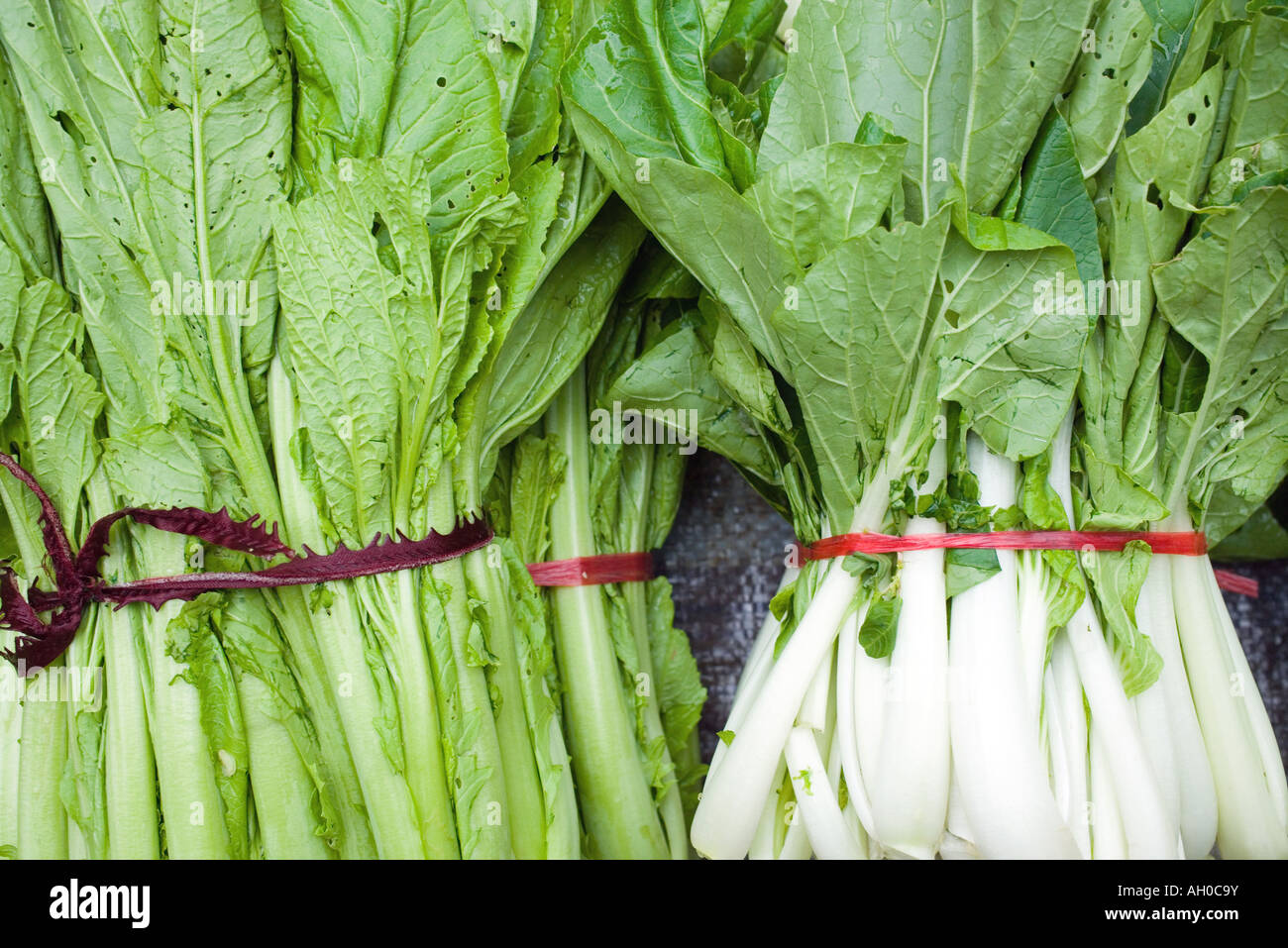 Asian mustards hi-res stock photography and images - Alamy