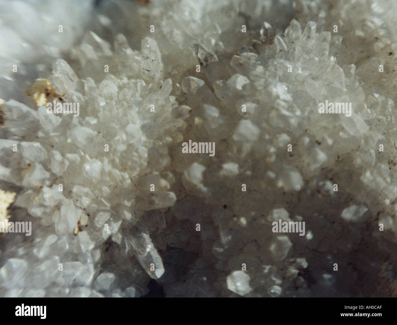 Quartz crystal cluster from the Cascade Mountains Stock Photo - Alamy