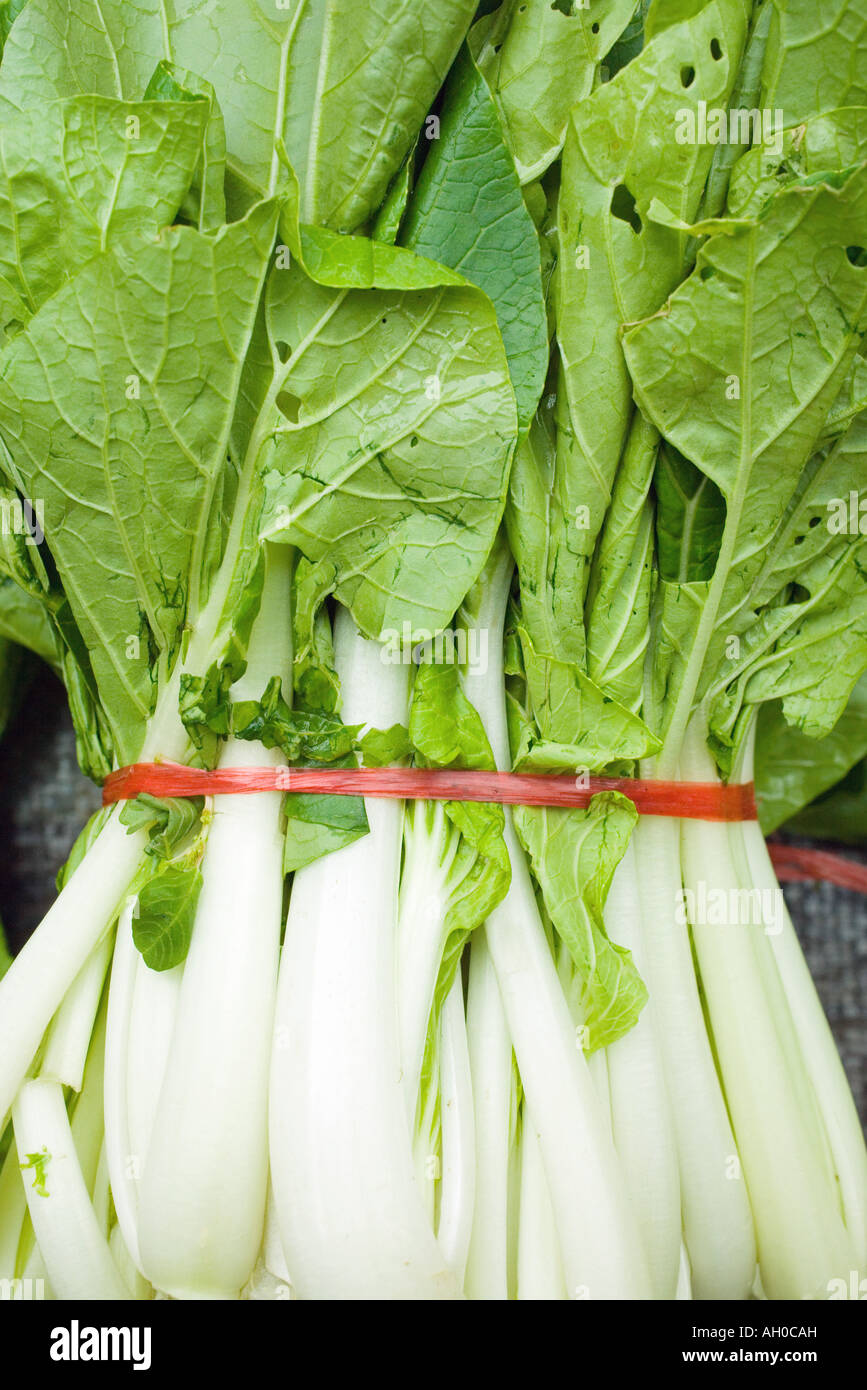 Bok choys hi-res stock photography and images - Alamy