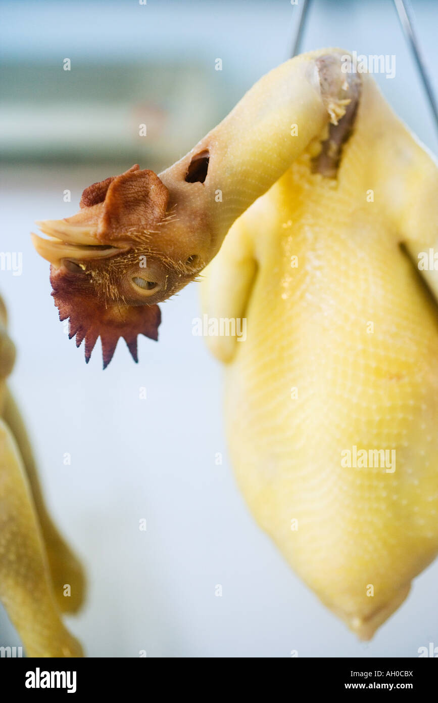 Raw skinned chicken hanging from hook Stock Photo - Alamy