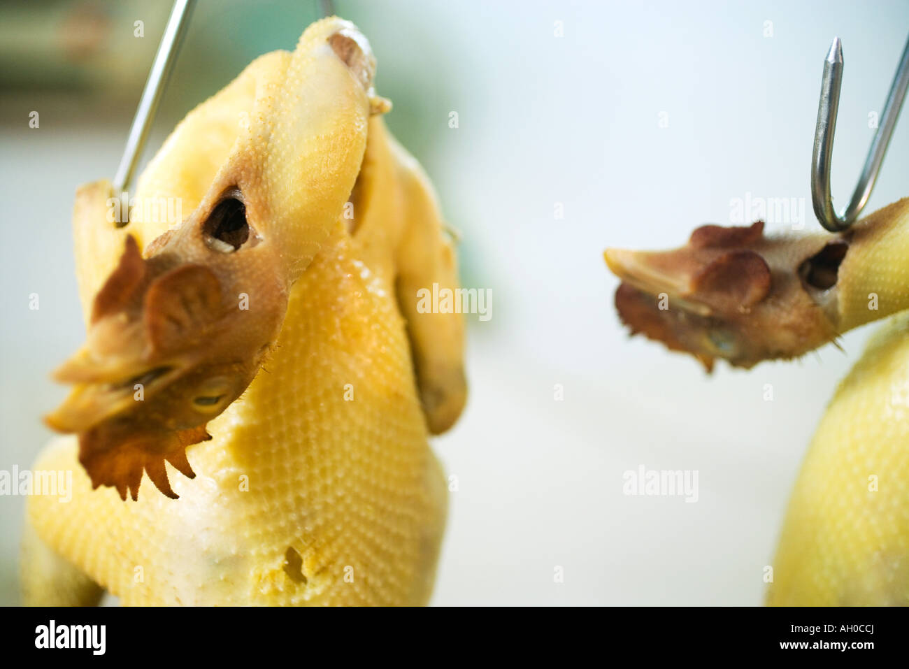 Dead chickens hanging hi-res stock photography and images - Alamy