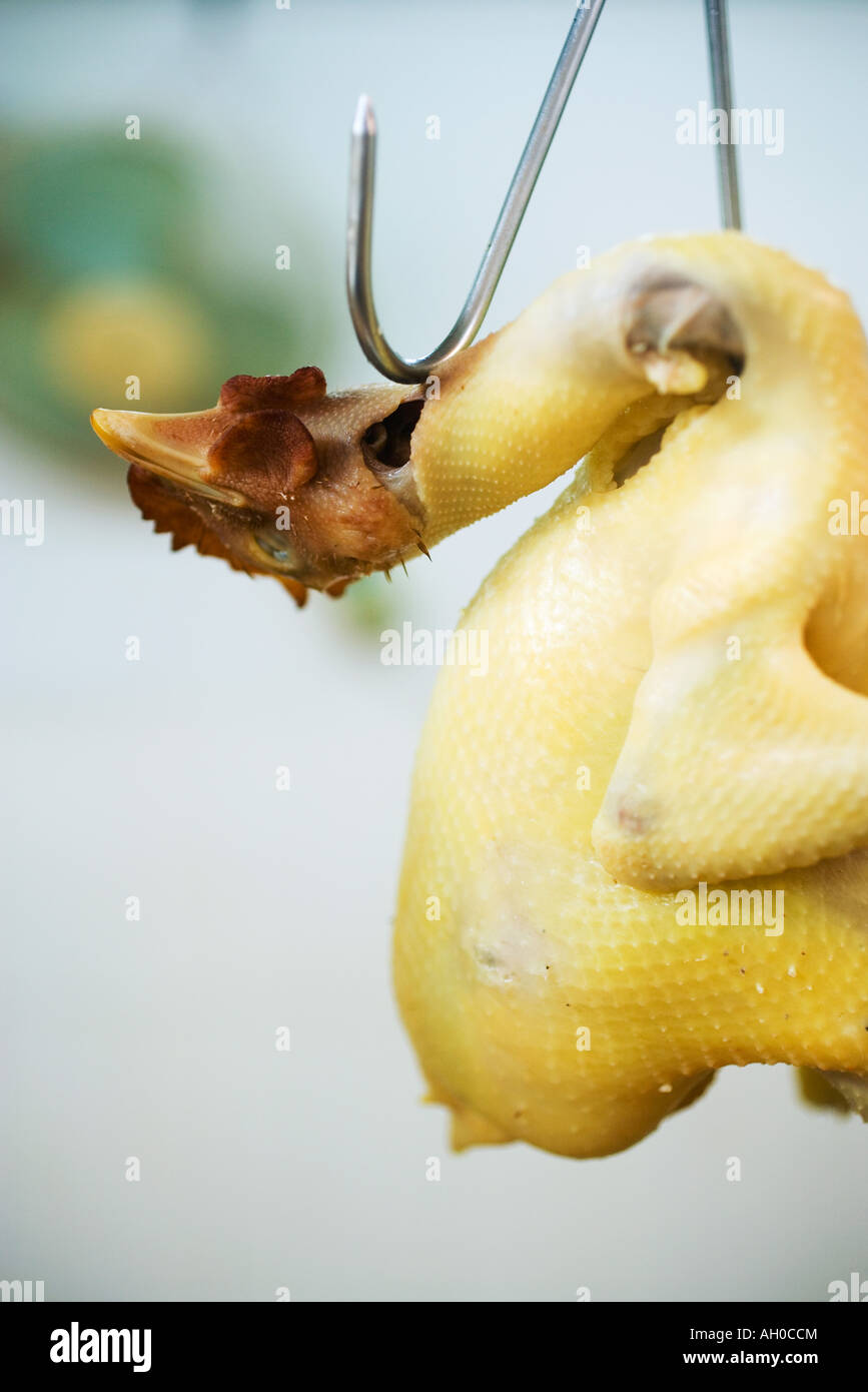 Raw skinned chicken hanging from hook Stock Photo - Alamy