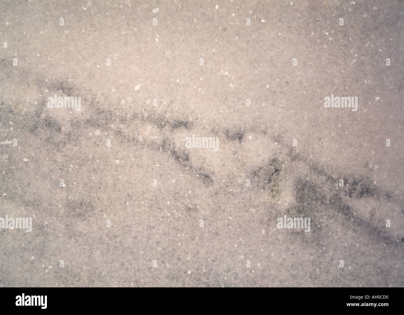 Marble texture on a building facade Stock Photo - Alamy