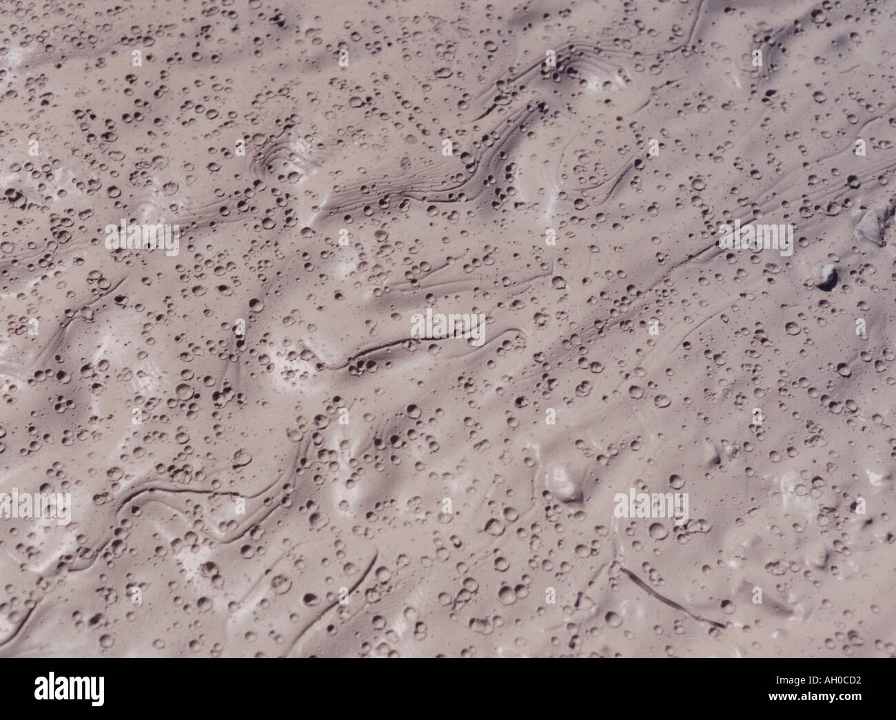 Cratered surface of mud on the banks of a dried riverbed Stock Photo ...