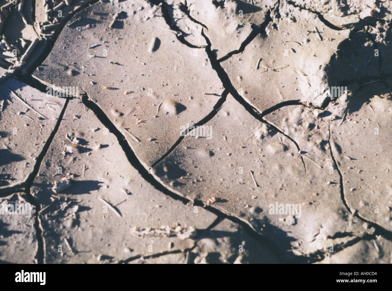 Riverbed textures hi-res stock photography and images - Alamy