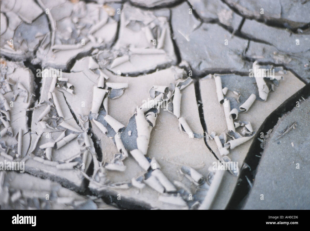 Dry mud with cracks Stock Photo - Alamy