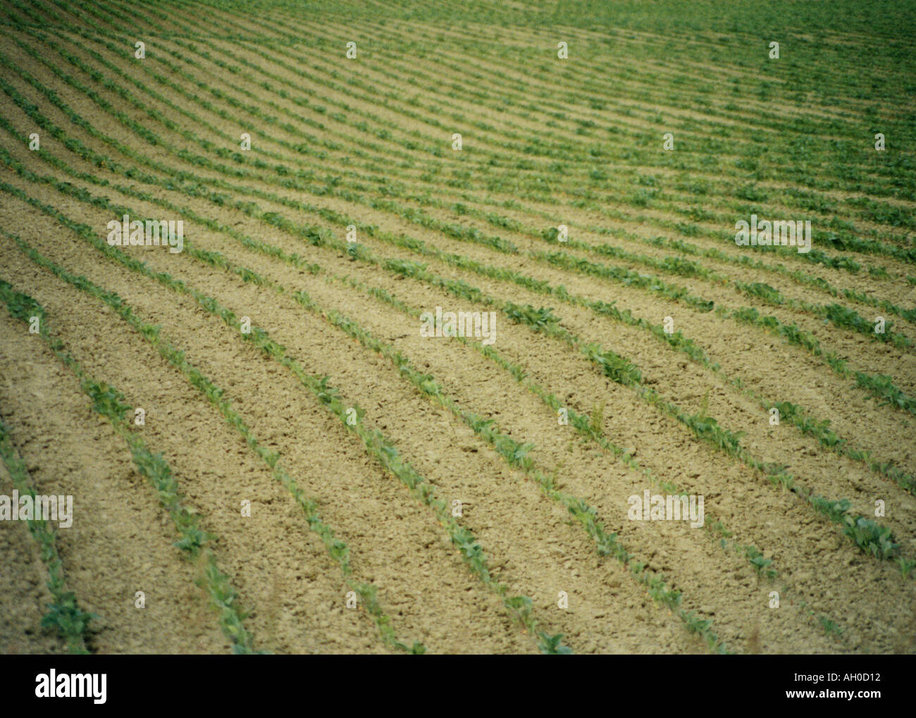 Michigan farm soil hi-res stock photography and images - Alamy