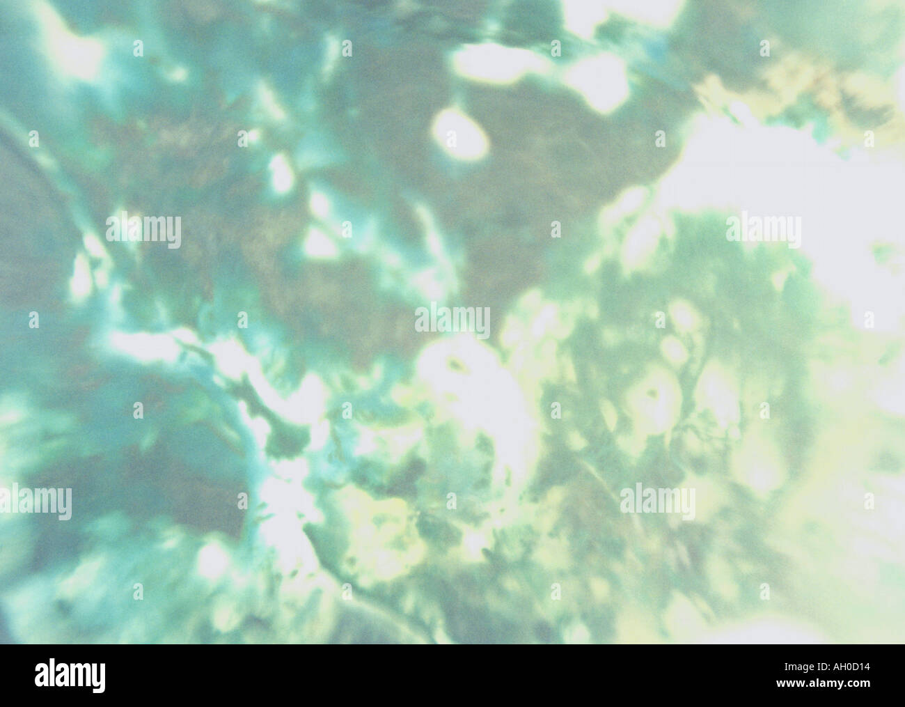 Green inclusions hi-res stock photography and images - Alamy