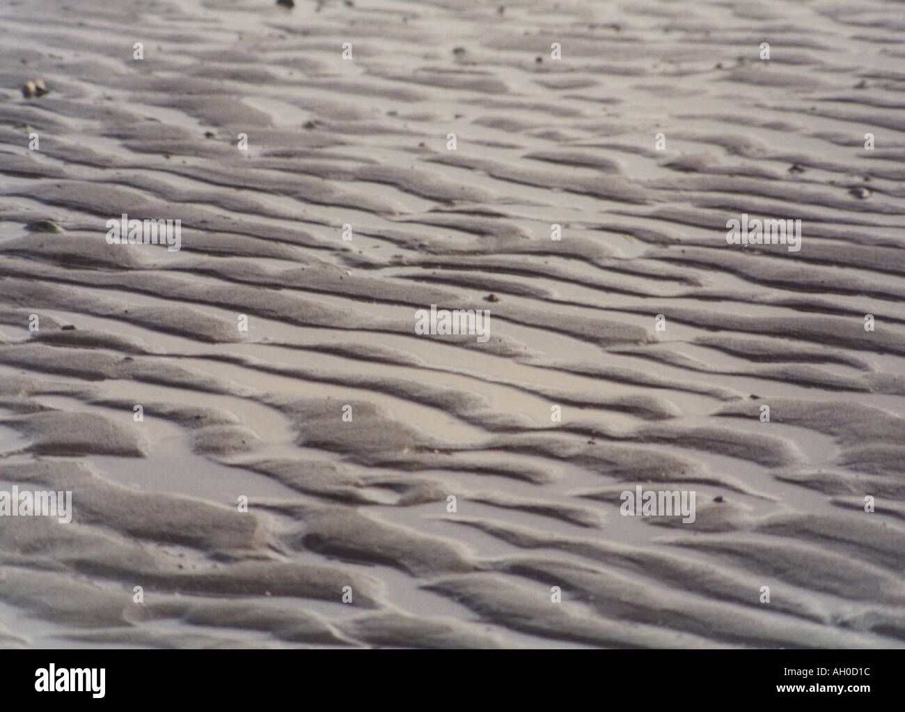 Watery Textures High Resolution Stock Photography and Images - Alamy