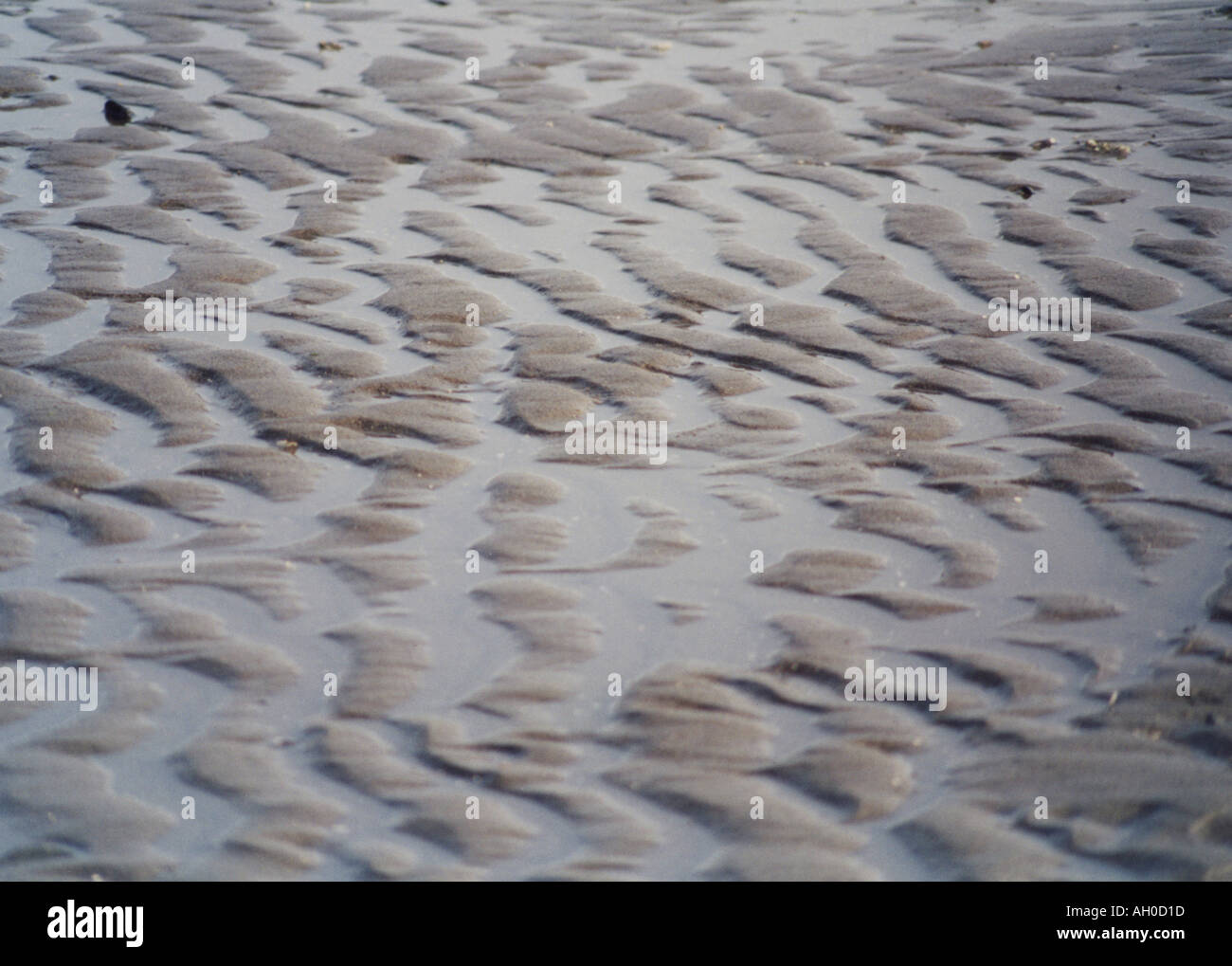 tide flats with rippled sand texture Stock Photo - Alamy