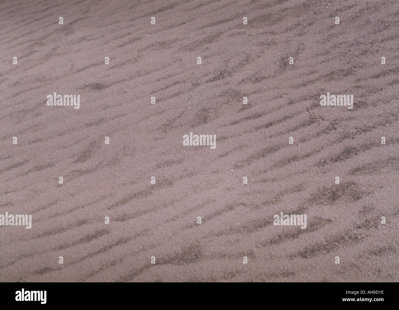 Rippled sand texture on a Pacific Ocean beach Stock Photo - Alamy