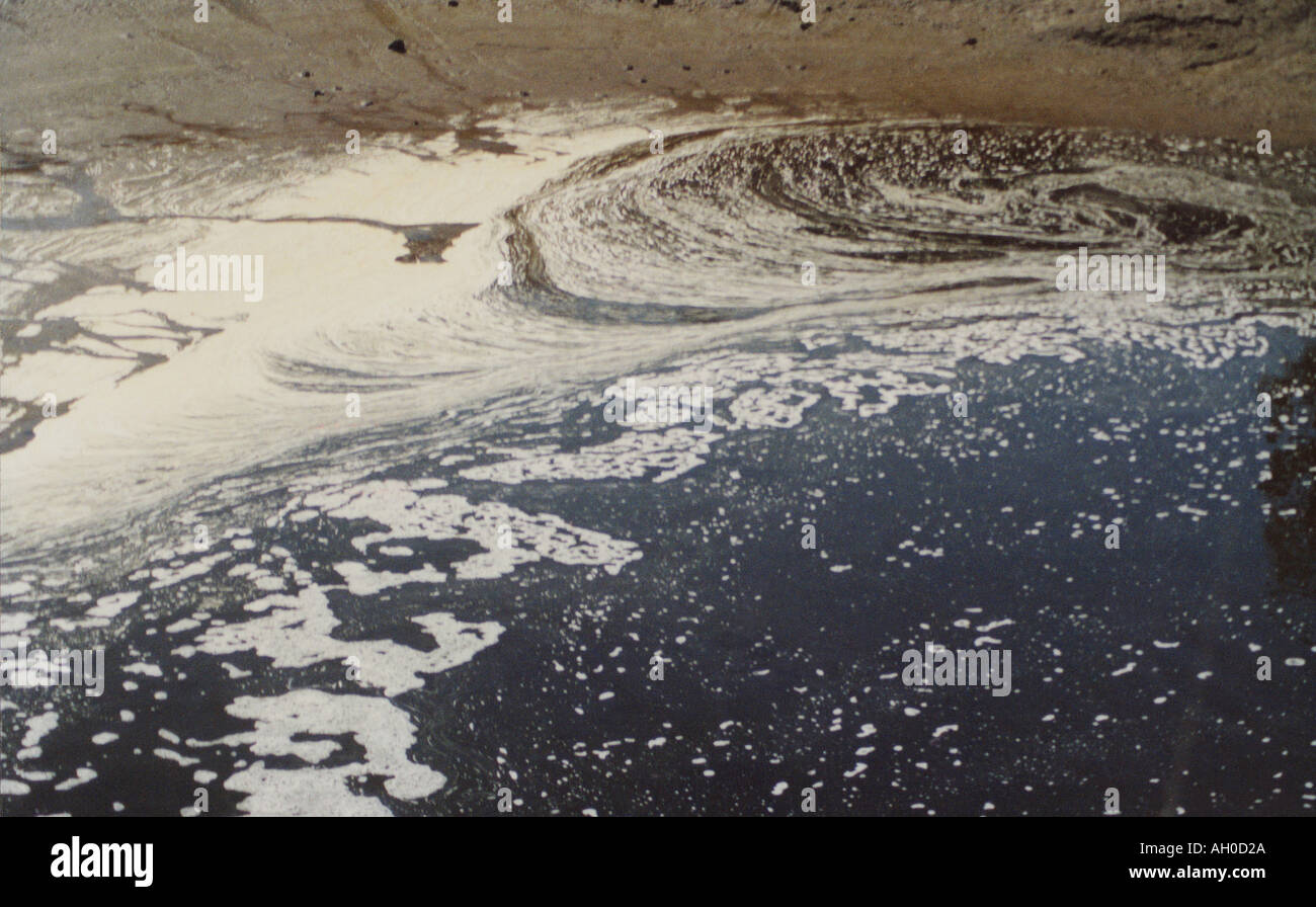 pond with algae growth Stock Photo - Alamy