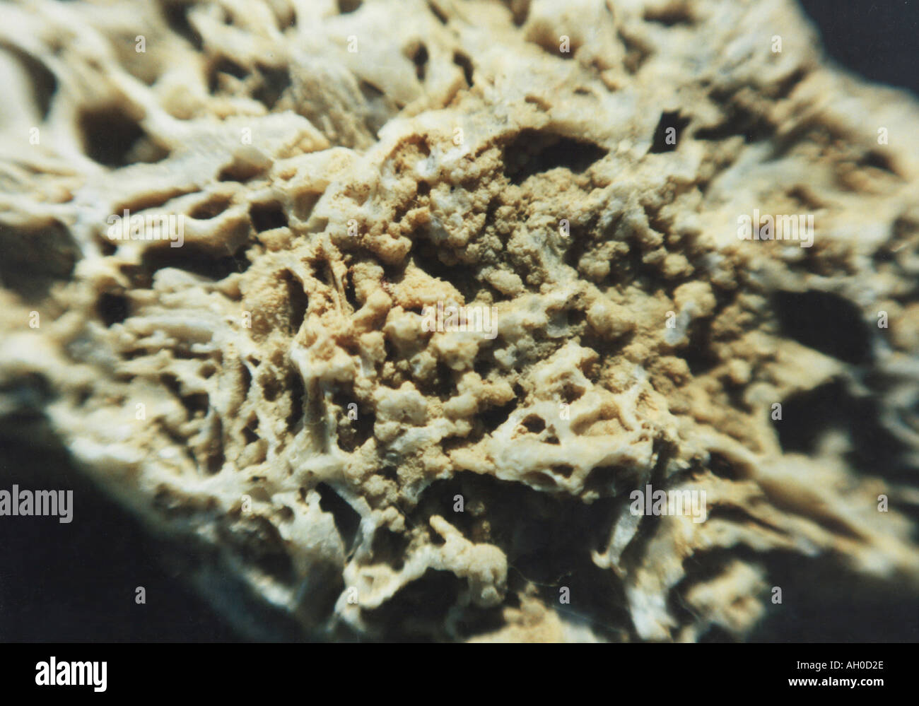 Crystalline growth patterns hi-res stock photography and images - Alamy