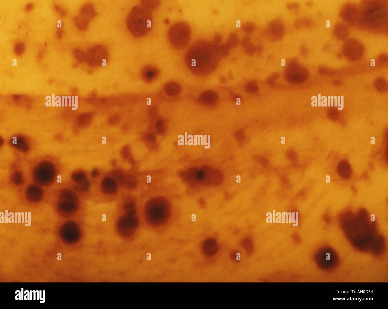 banana peel texture Stock Photo - Alamy