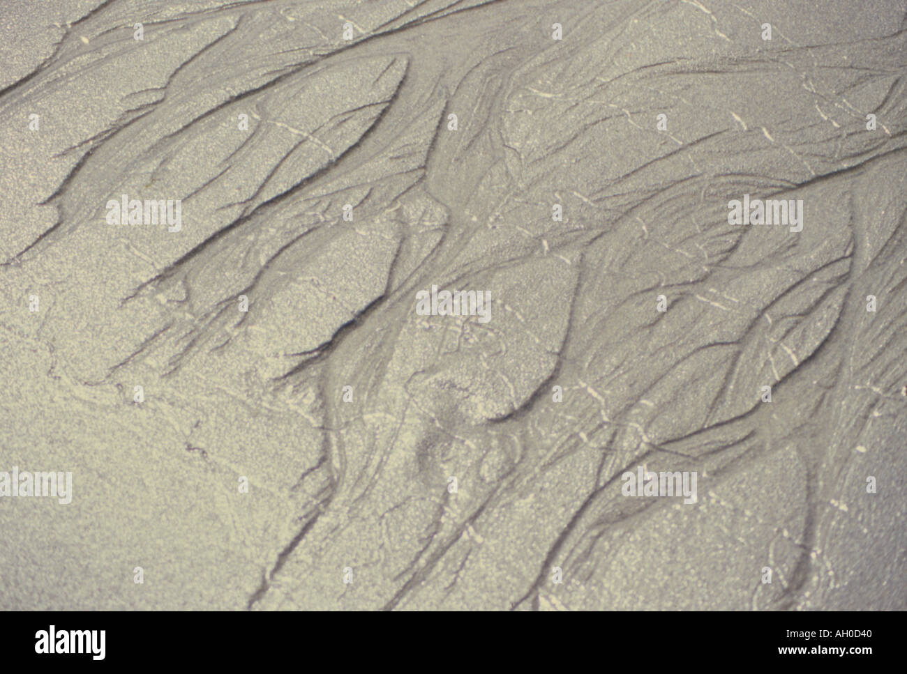 Water patterns on sandy beach along the Pacific Ocean in Olympic ...