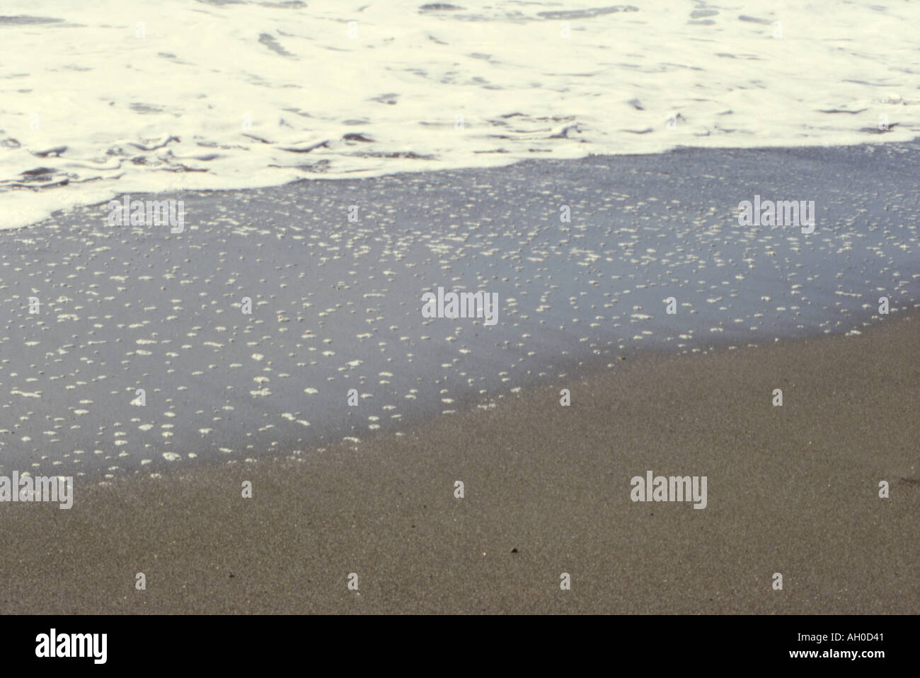 Pacific ocean watershed hi-res stock photography and images - Alamy
