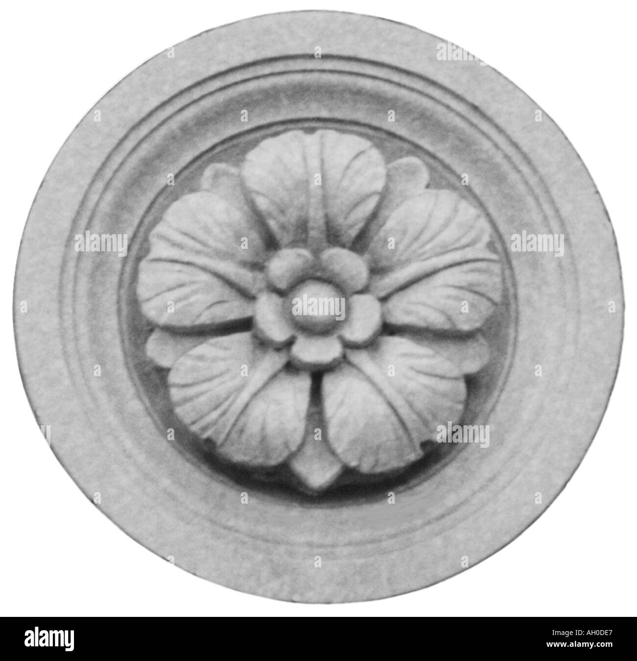 Lotus flower medallion Stock Photo - Alamy