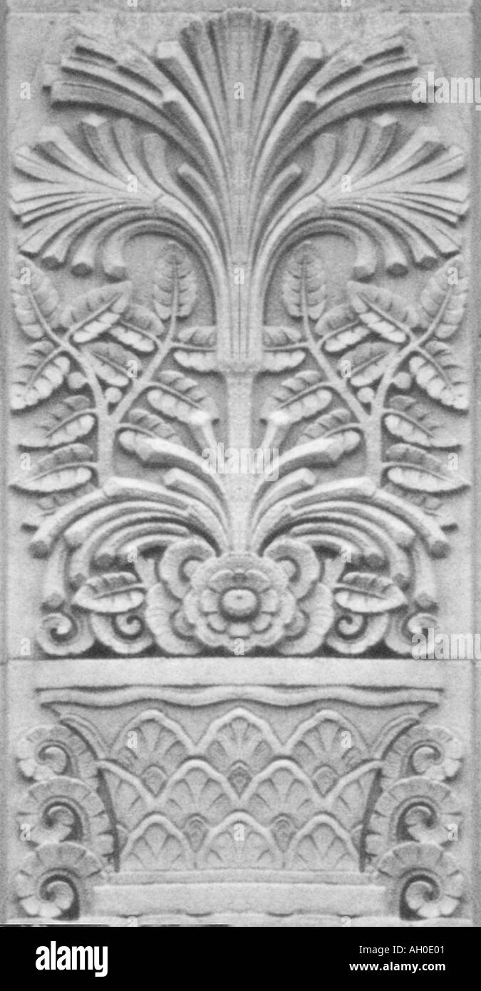 Plant stele hi-res stock photography and images - Alamy