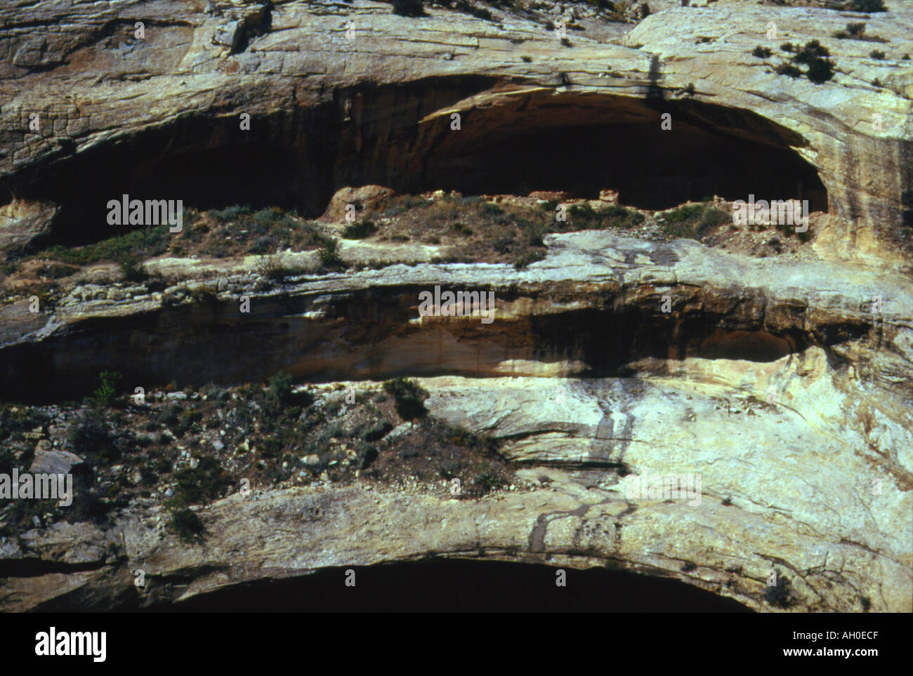 Anasazi cliff dwelling, Butler Wash, Utah Stock Photo - Alamy