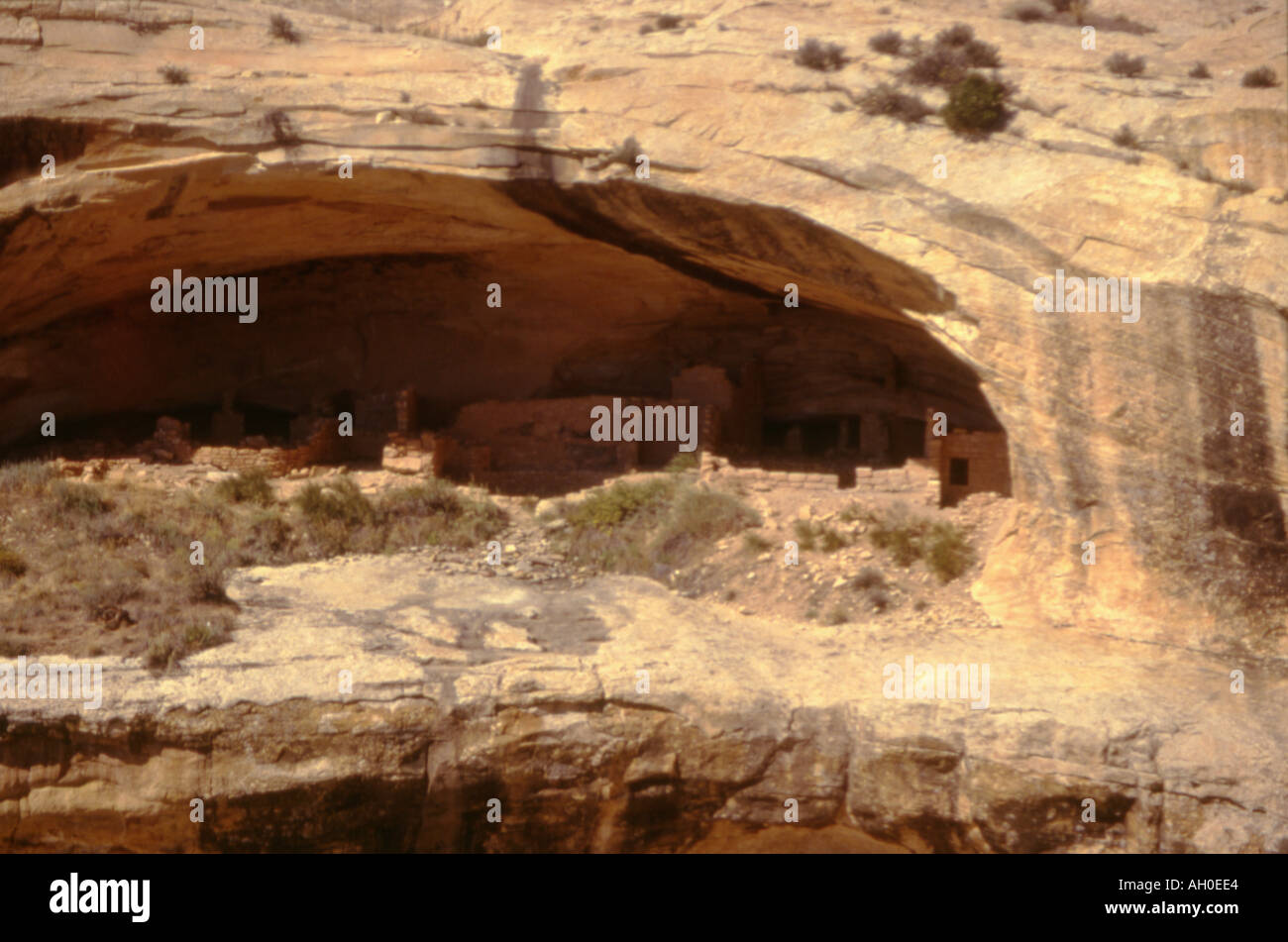Anasazi cliff dwelling in Butler Wash, Utah Stock Photo - Alamy