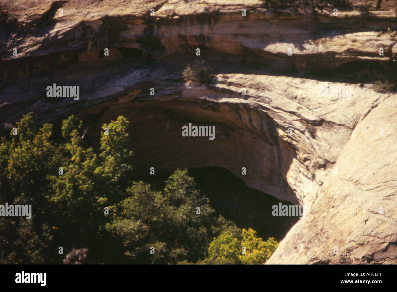 Butler Wash Cave ruins, Utah Stock Photo - Alamy
