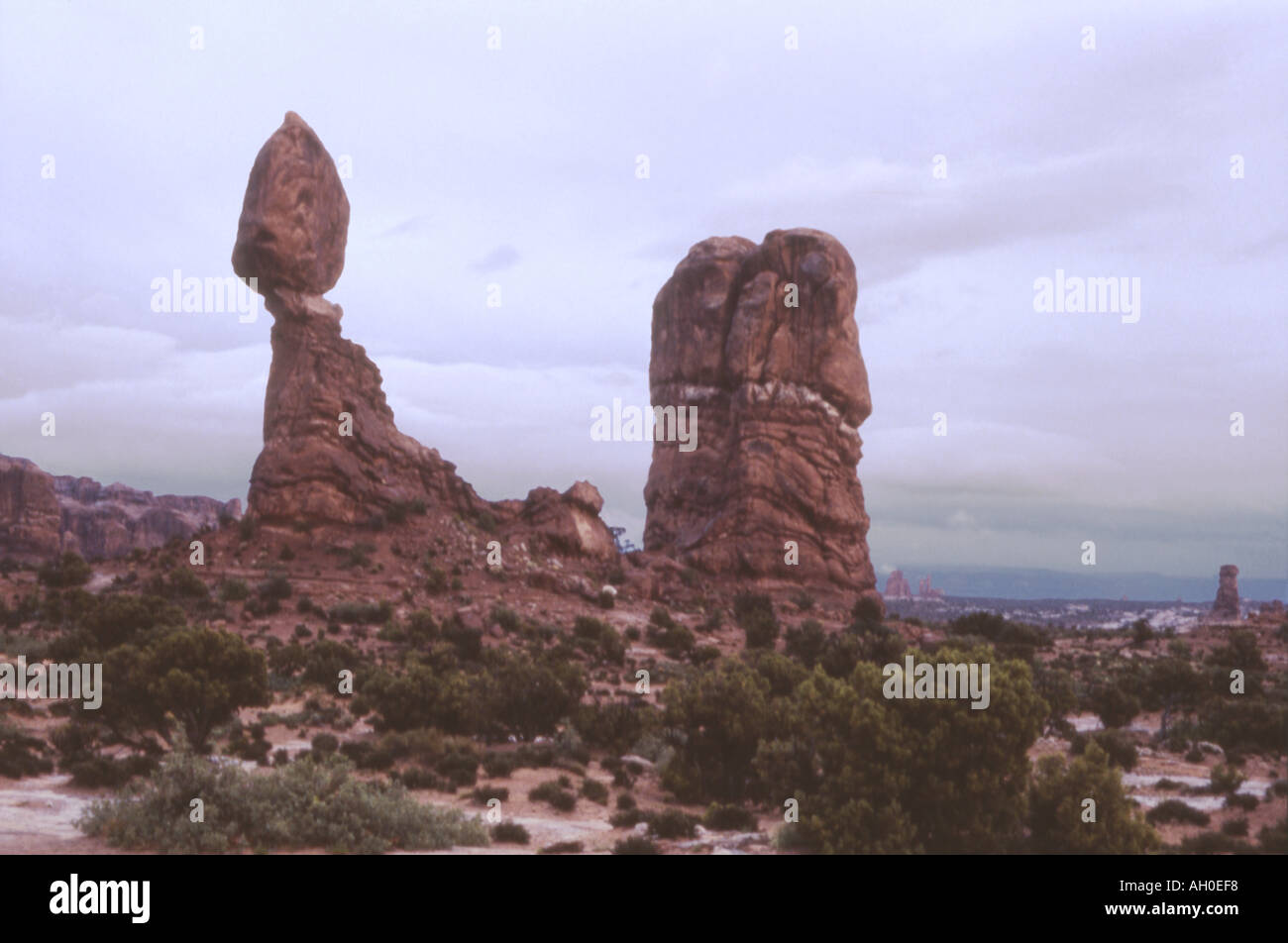 Desert ecosystem balance hi-res stock photography and images - Alamy