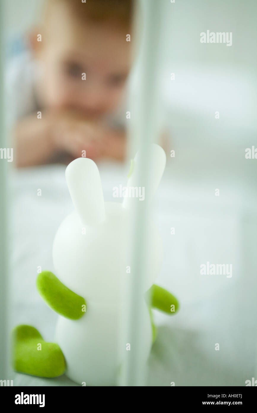 Rabbit rear view hi-res stock photography and images - Alamy