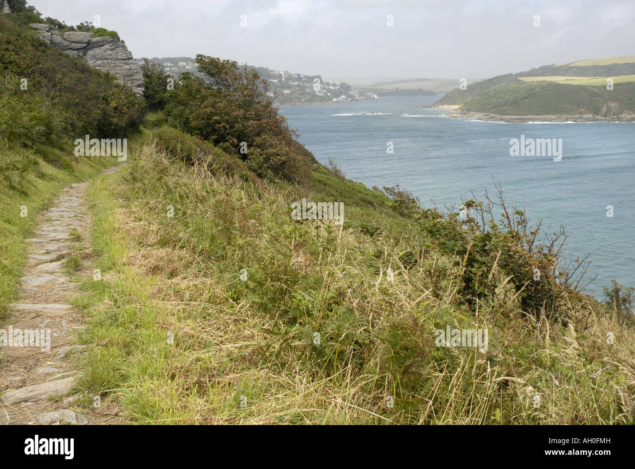 Coast path, Salcombe, Devon, England, UK Stock Photo - Alamy