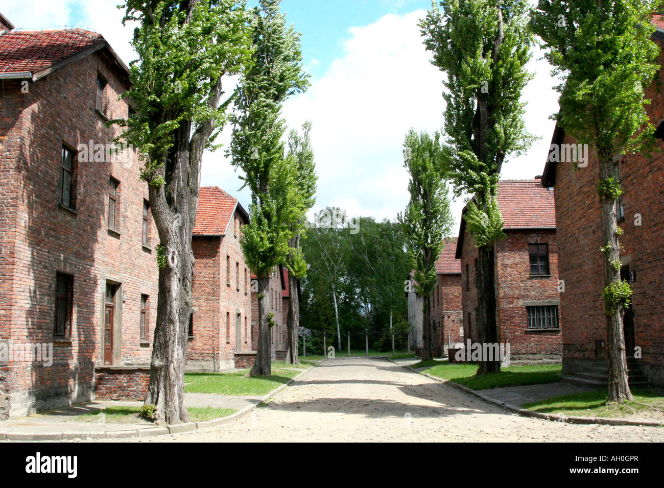 Auschwitz cell blocks hi-res stock photography and images - Alamy