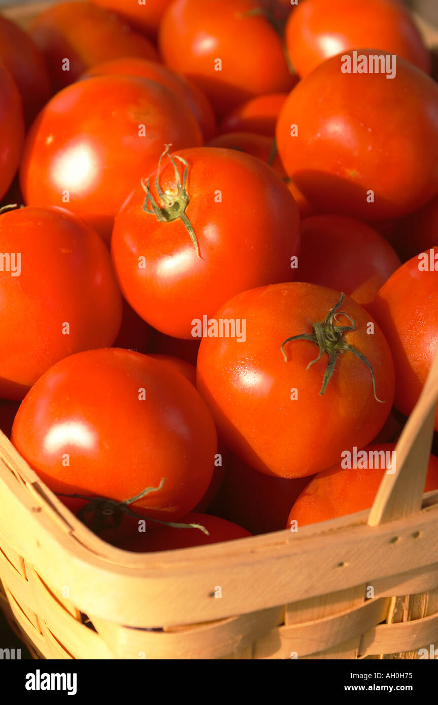 ILLINOIS Chicago Red tomatoes in a woven basket Green City organic ...