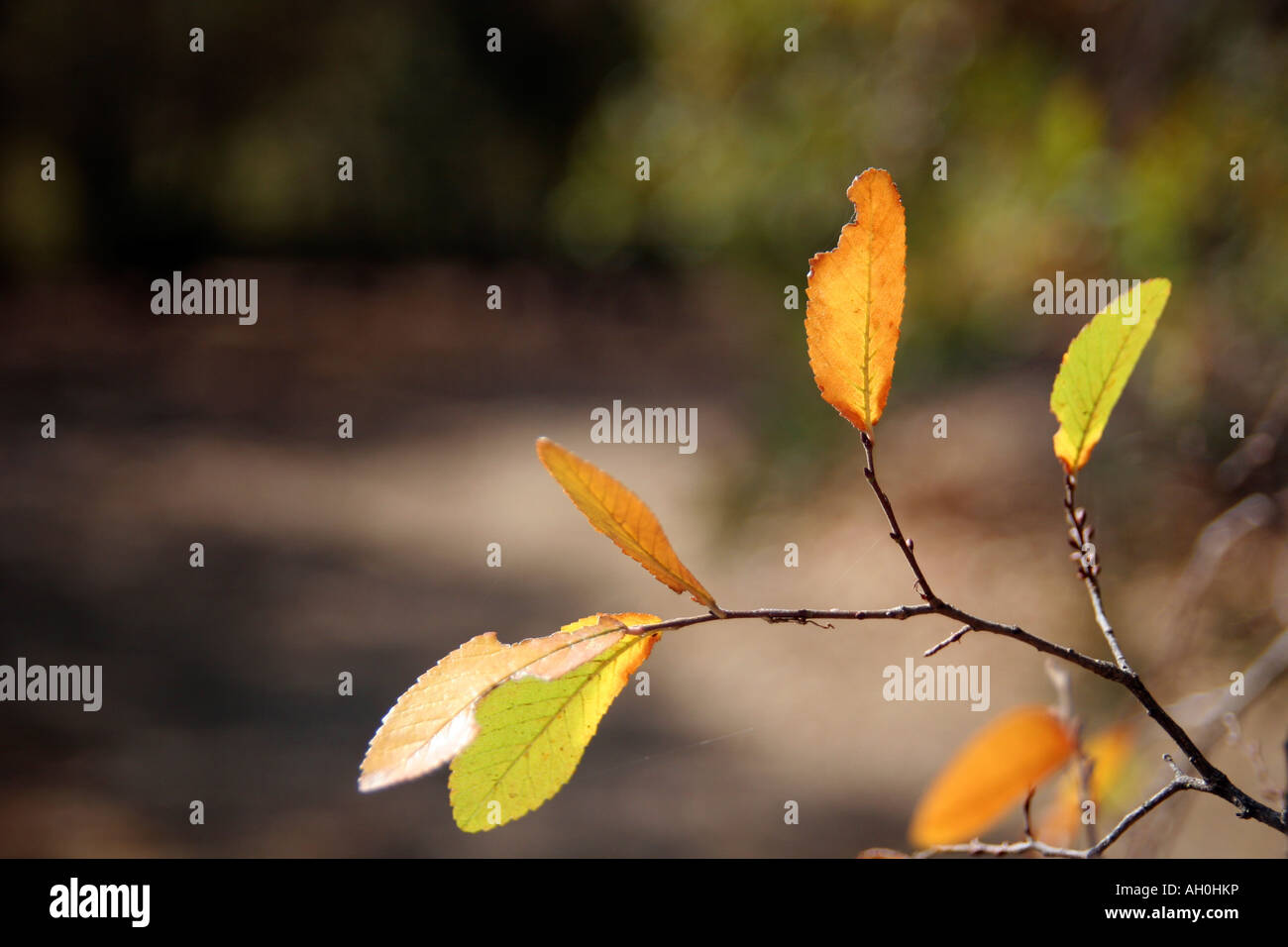Marking the change of the seasons hi-res stock photography and images ...
