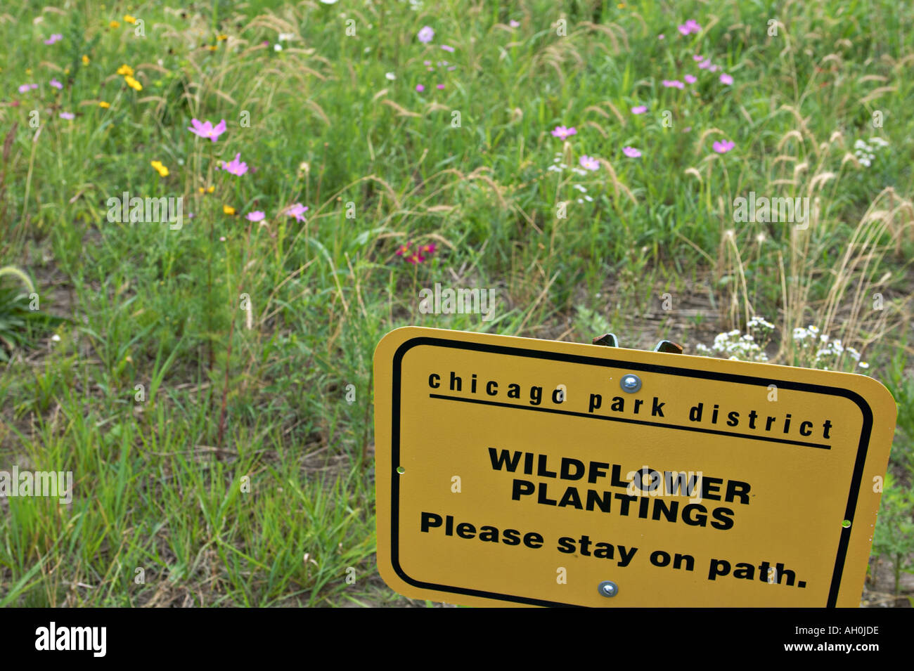 LAKEFRONT Chicago Illinois Wildflower plantings sign please stay on ...