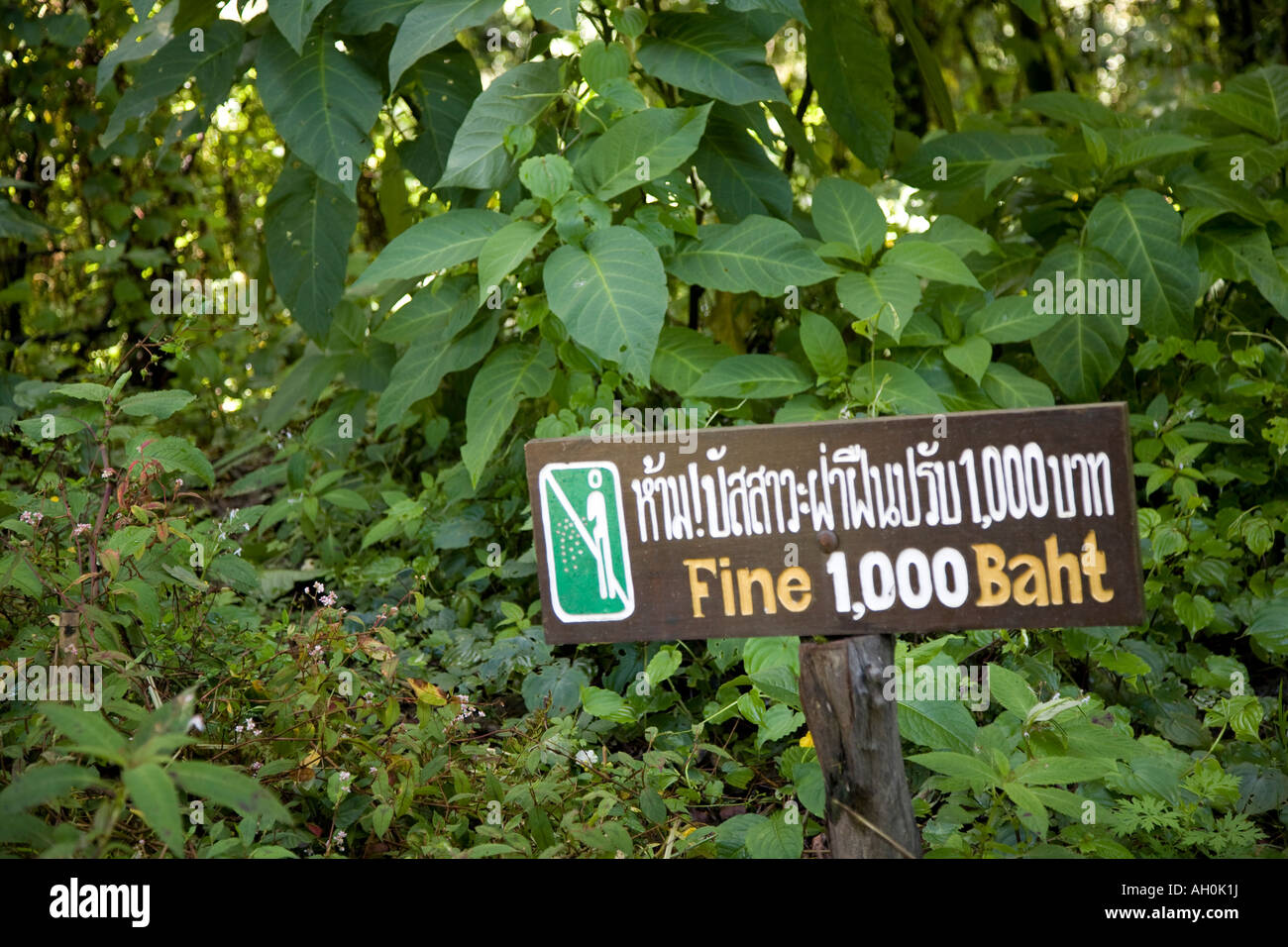 No peeing, Fine 1,000 Baht, Foreign Warning Sign do not urinate in Doi ...