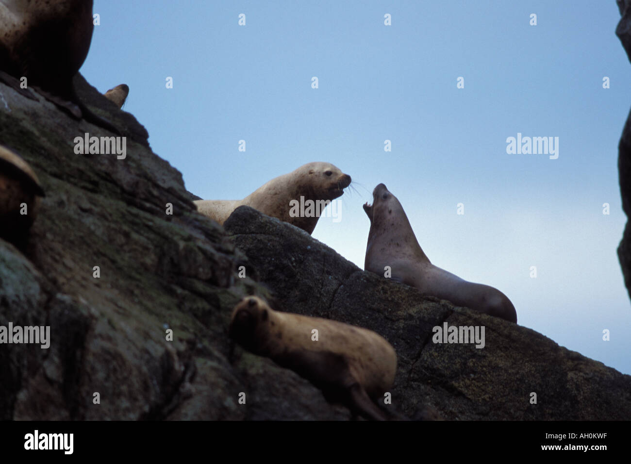 Chiswell park national marine sanctuary hi-res stock photography and ...