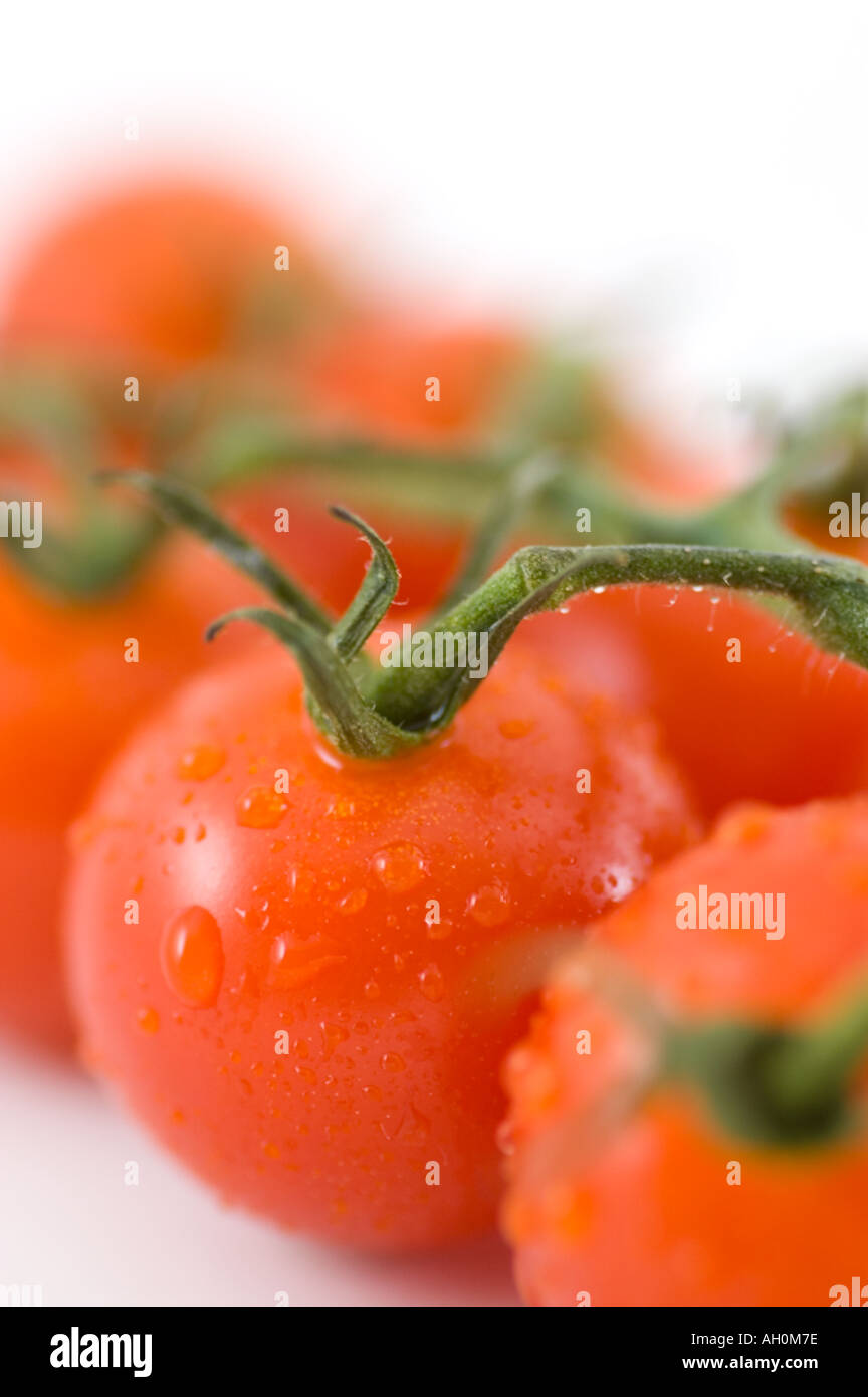 Images of tomatoes growing hi-res stock photography and images - Alamy