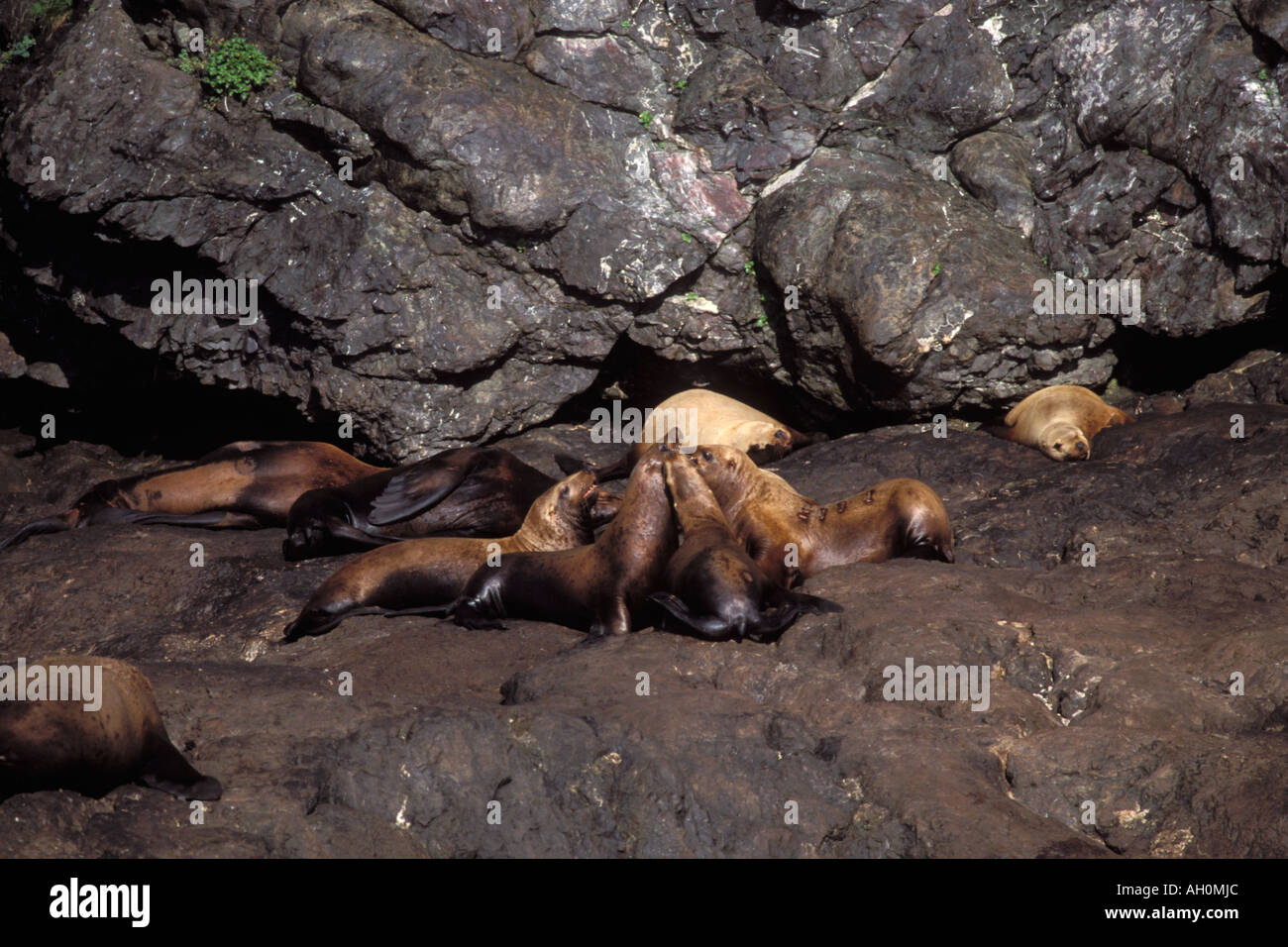 Islands in resurrection bay alaska hi-res stock photography and images ...
