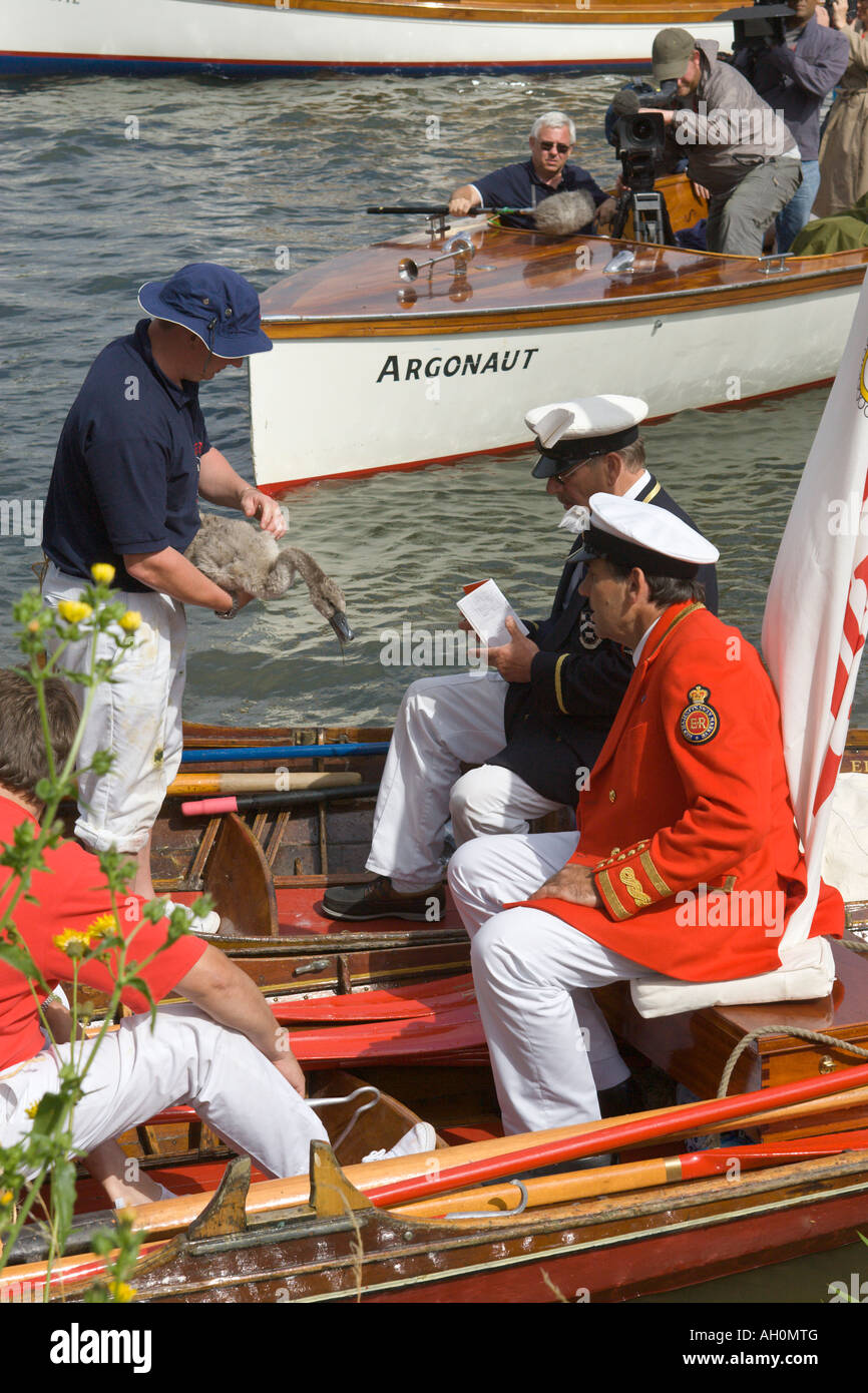 Swan upping on the River Thames The swan uppers of Her Majesty Queen ...