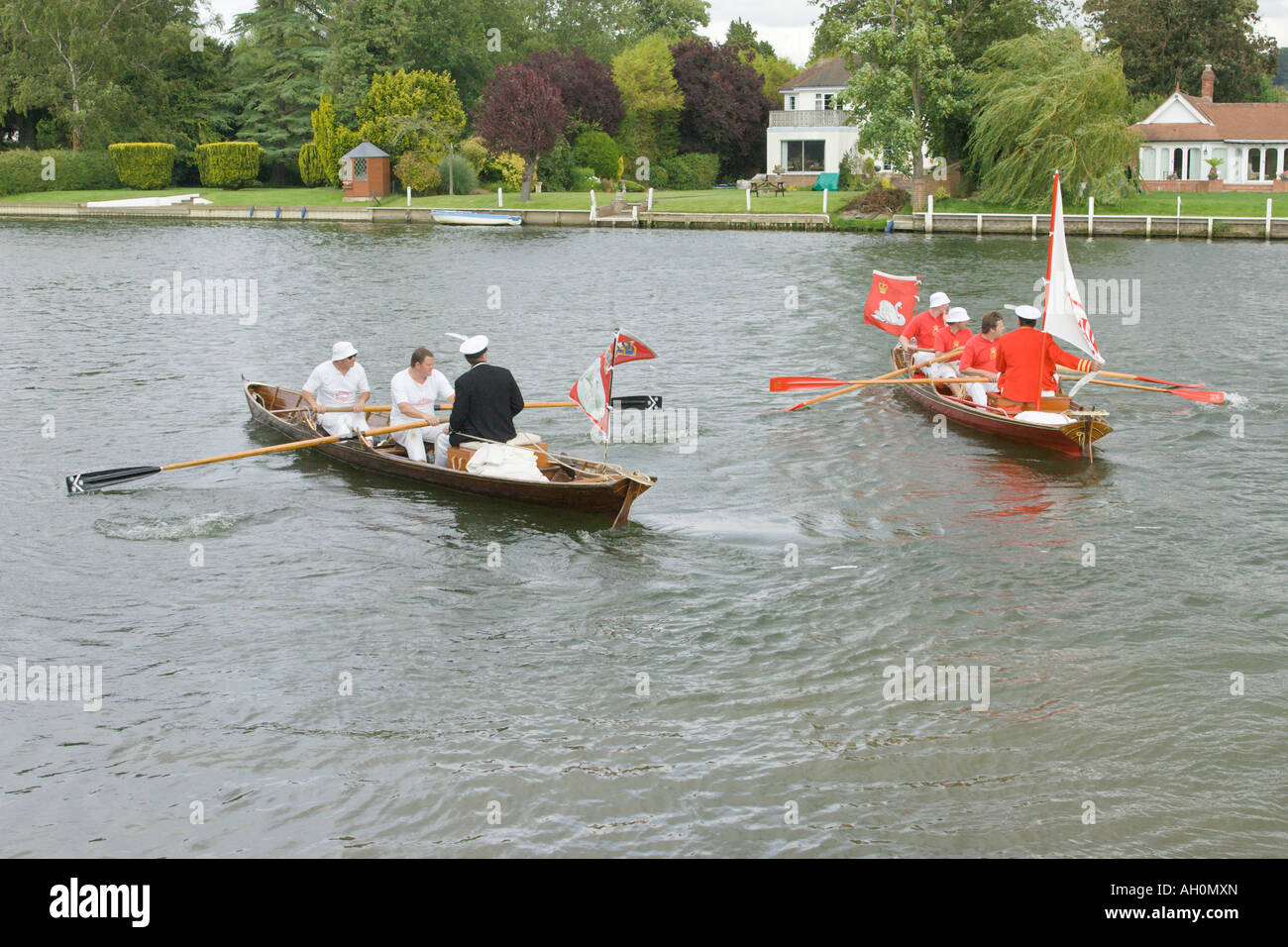 Swan upping on the River Thames Stock Photo - Alamy