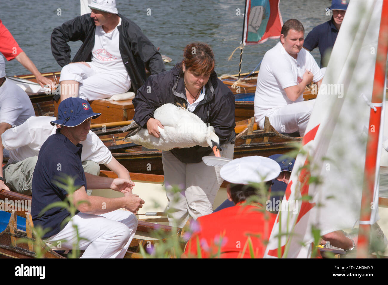 Royal swan upping hi-res stock photography and images - Alamy