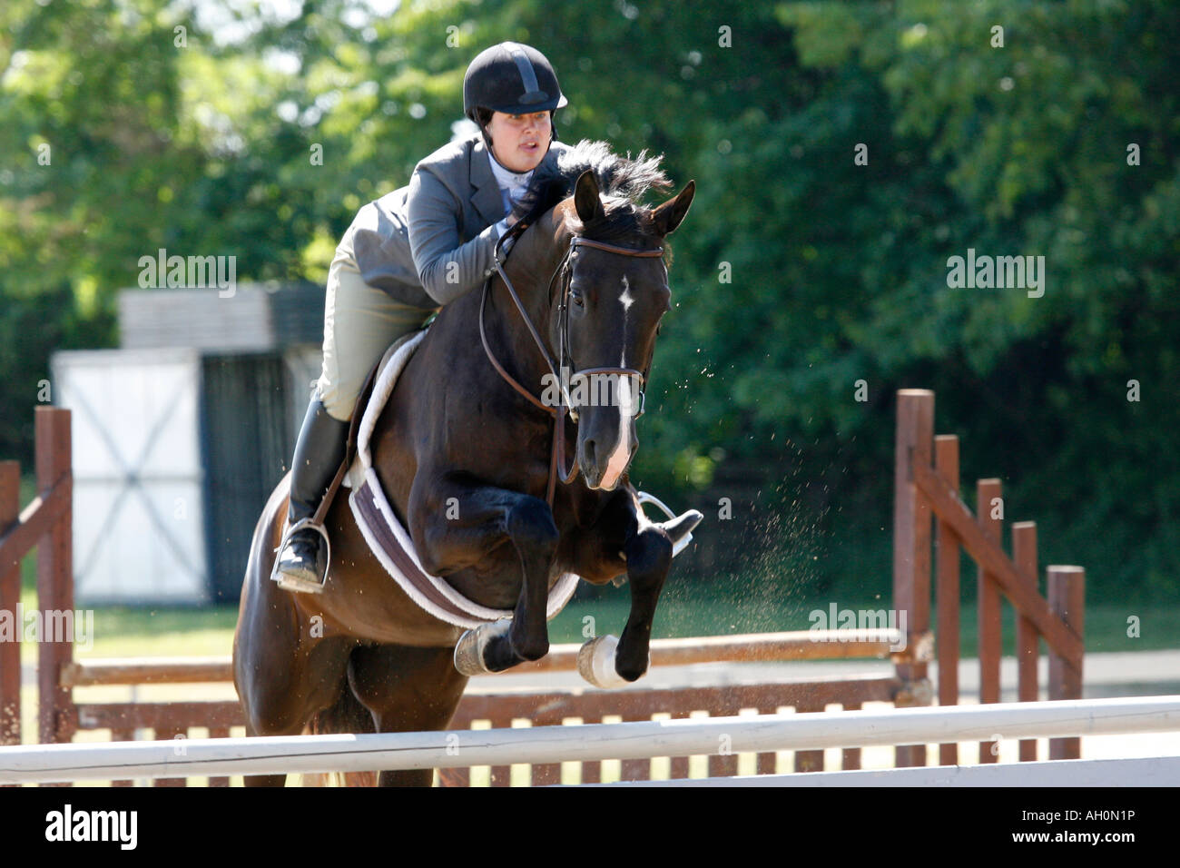 Girl jumping horse over fence hi-res stock photography and images - Alamy