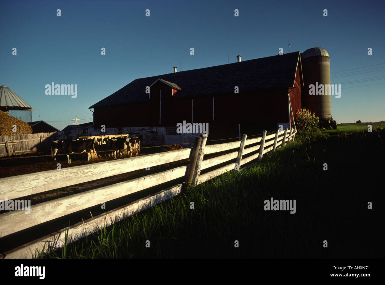 Dairy farming in wisconsin hi-res stock photography and images - Alamy