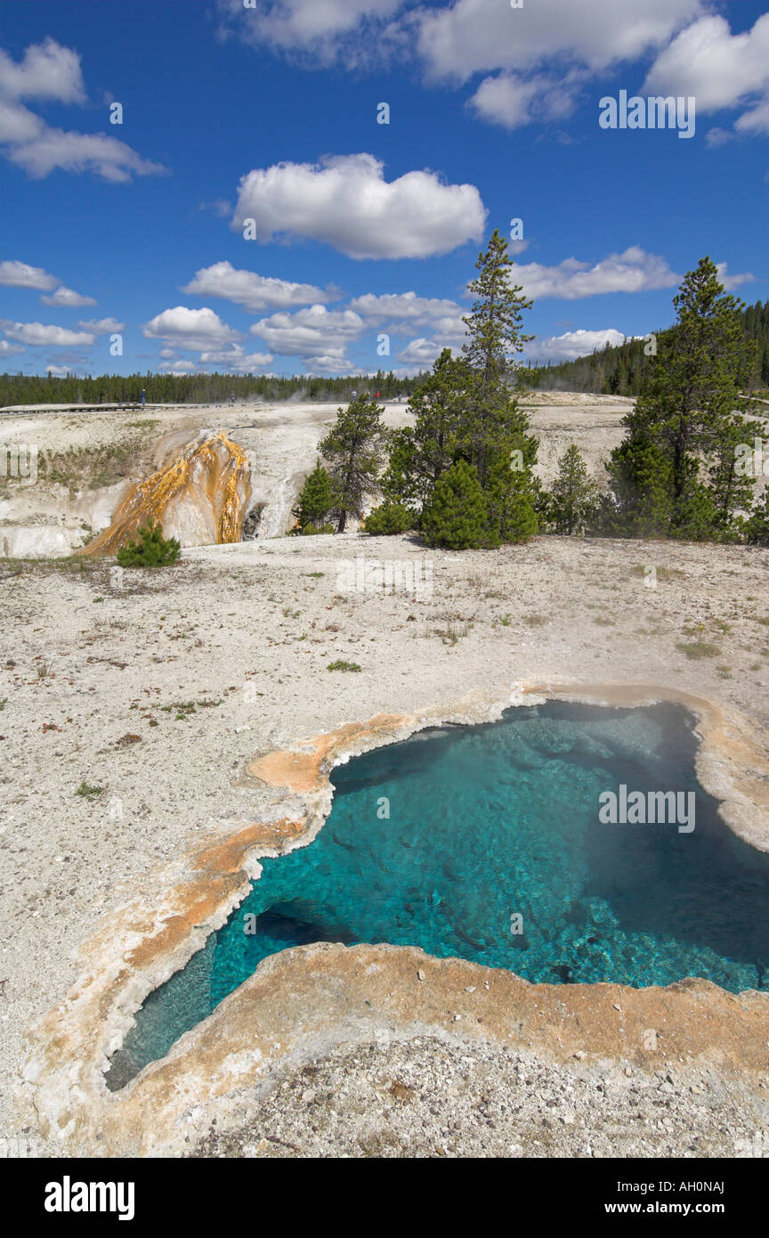 blue star spring upper geyser basin yellowstone national park wyoming ...