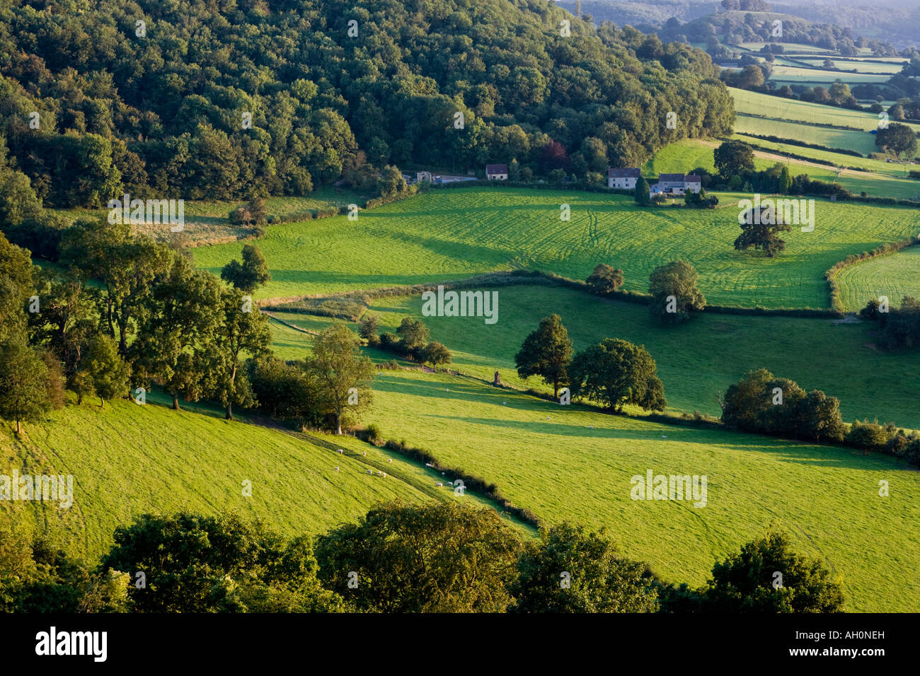 Cotswolde hi-res stock photography and images - Alamy