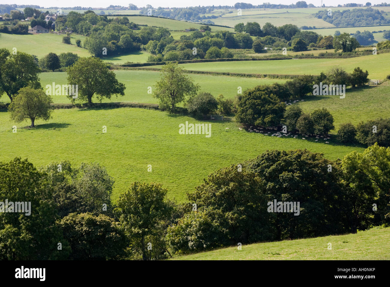 A rolling landscape near the Cotswold village of Cold Ashton, South ...