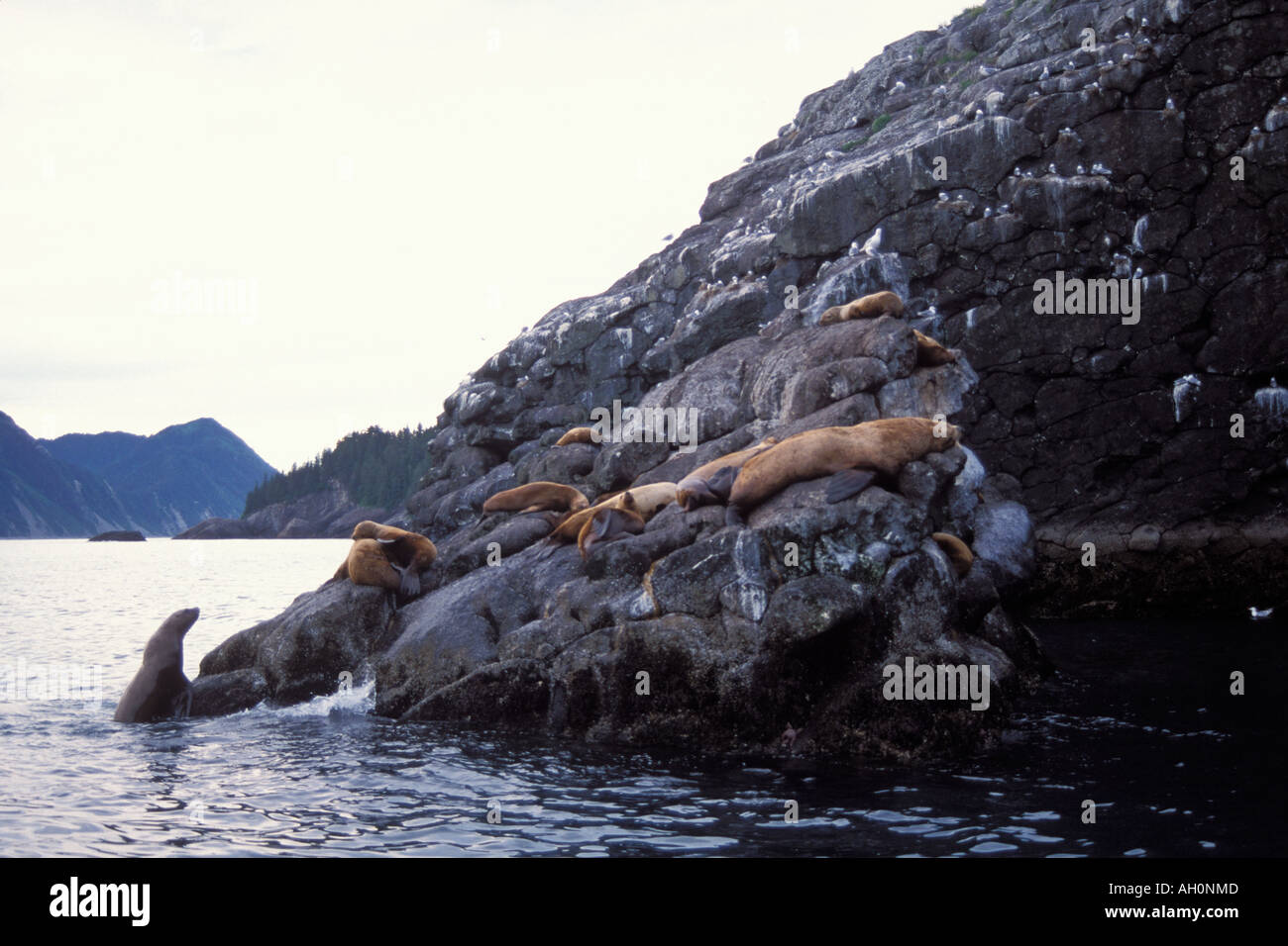 Chiswell park national marine sanctuary hi-res stock photography and ...