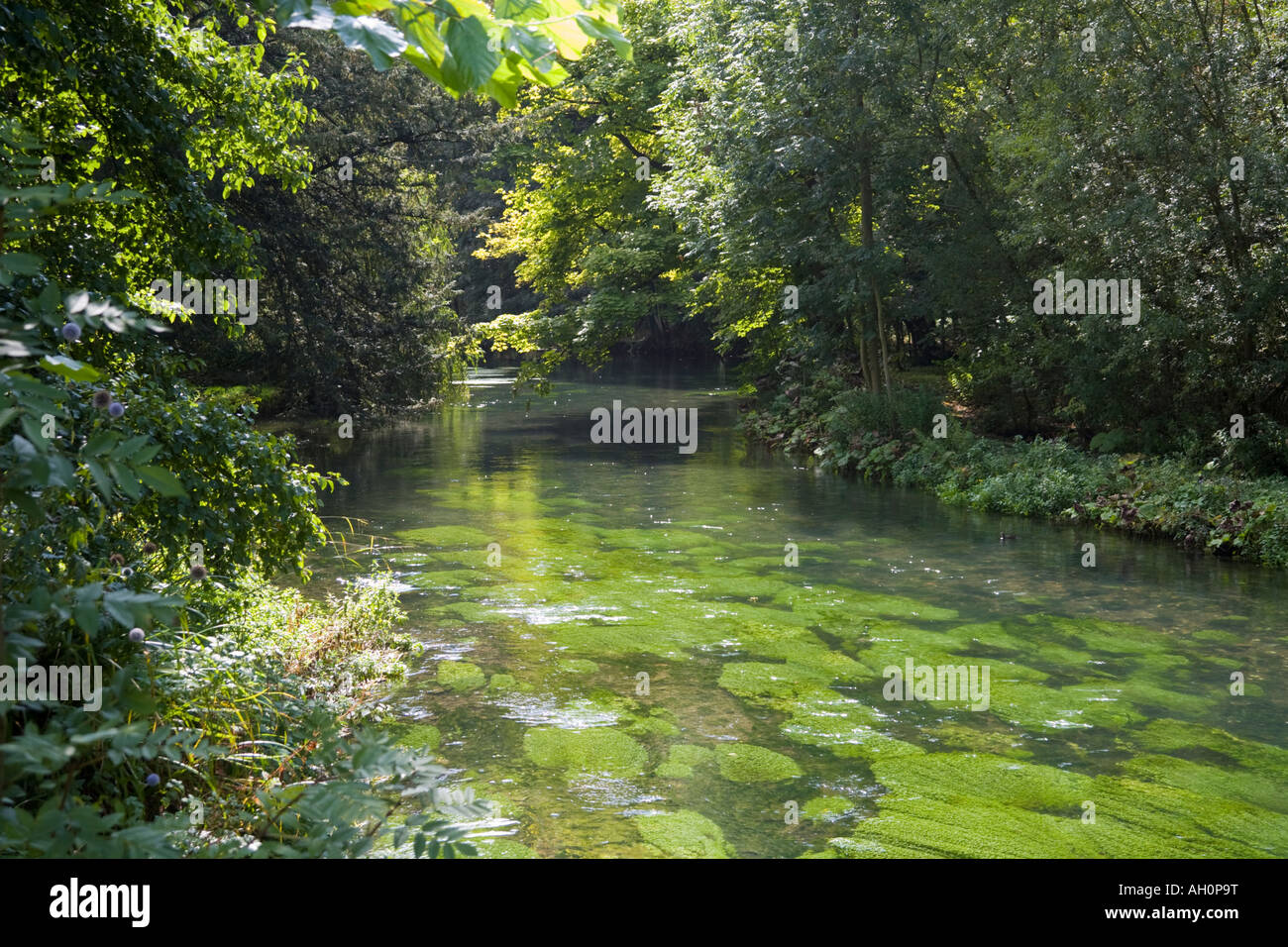 The River Coln flowing through the Cotswold village of Bibury ...