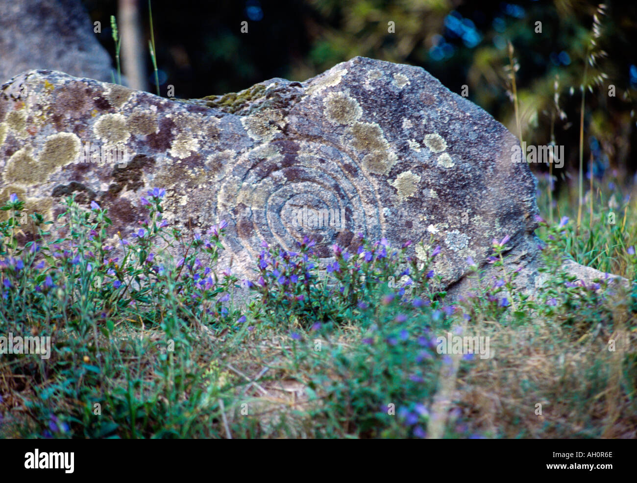 Mogor Petroglyphs Galicia Spain Celtic Spiral Stock Photo - Alamy
