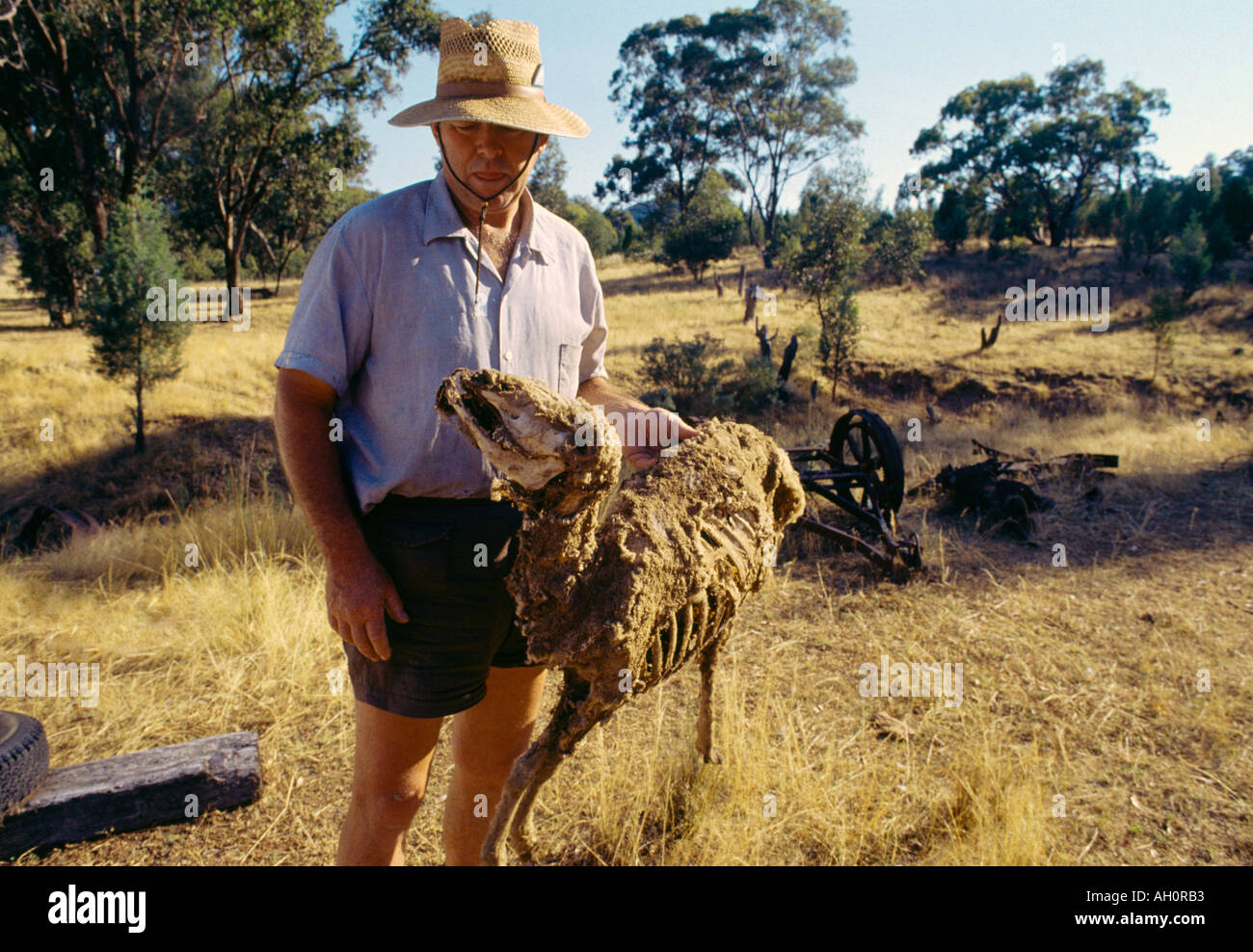 Farmer death hi-res stock photography and images - Alamy